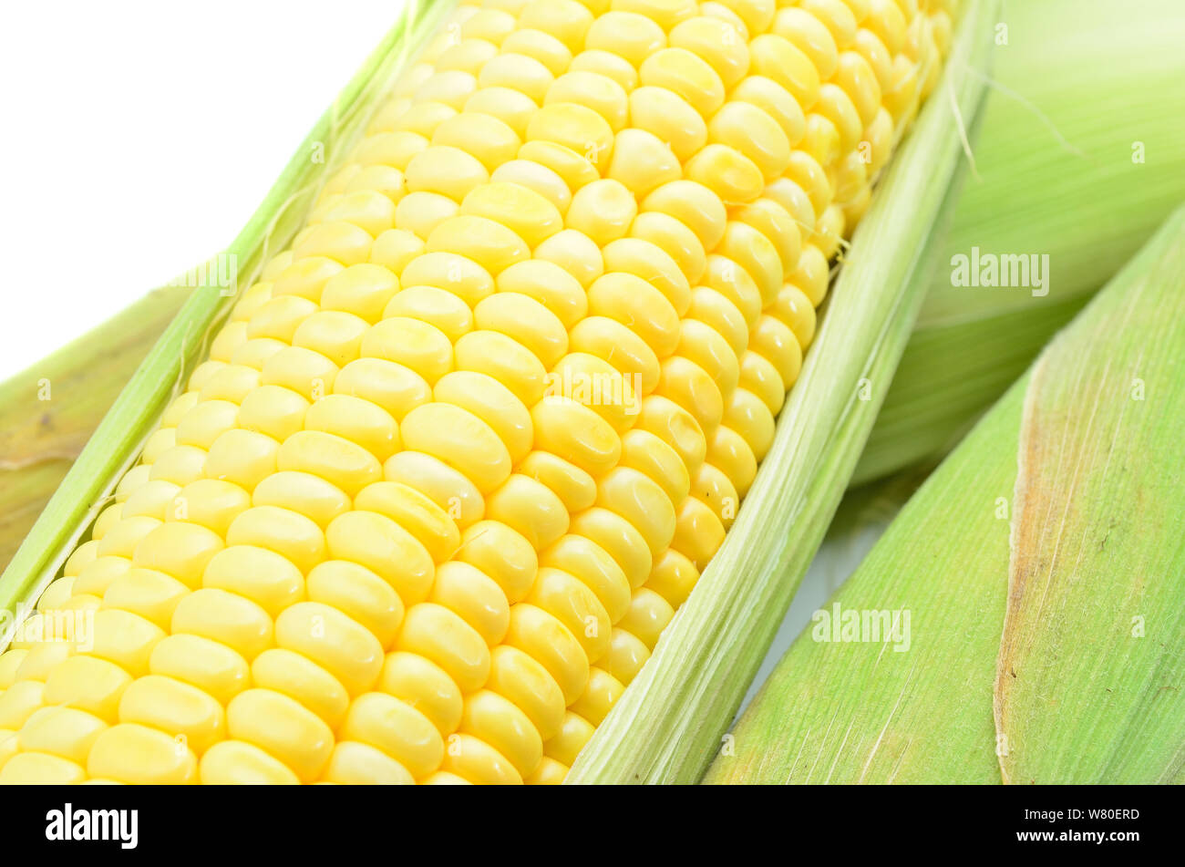 An ear of corn isolated on a white background Stock Photo - Alamy