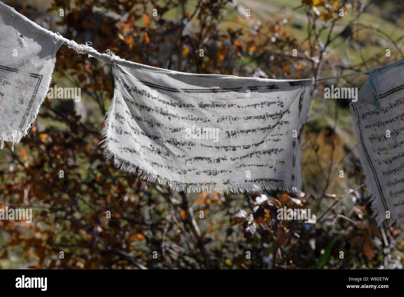 Aryabal monastery in Gorkhi Terelj national park in Mongolia Stock ...