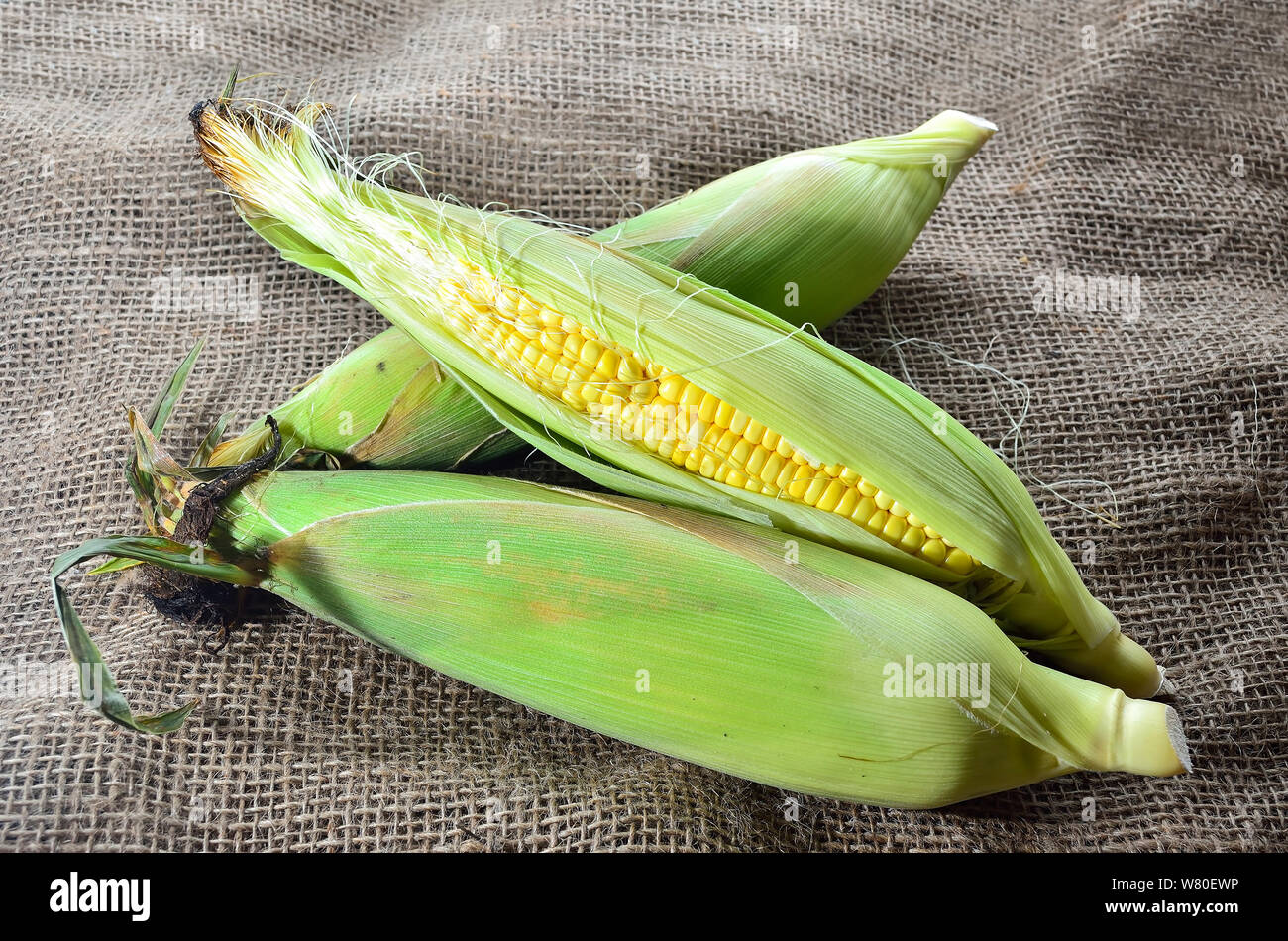 An ear of corn on gunny Stock Photo - Alamy