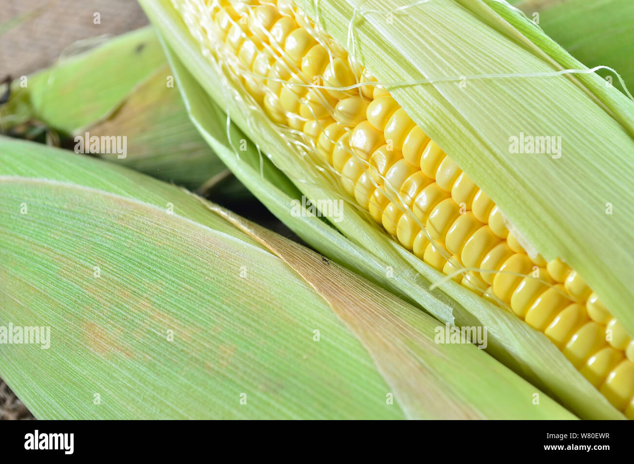 An ear of corn on gunny Stock Photo - Alamy