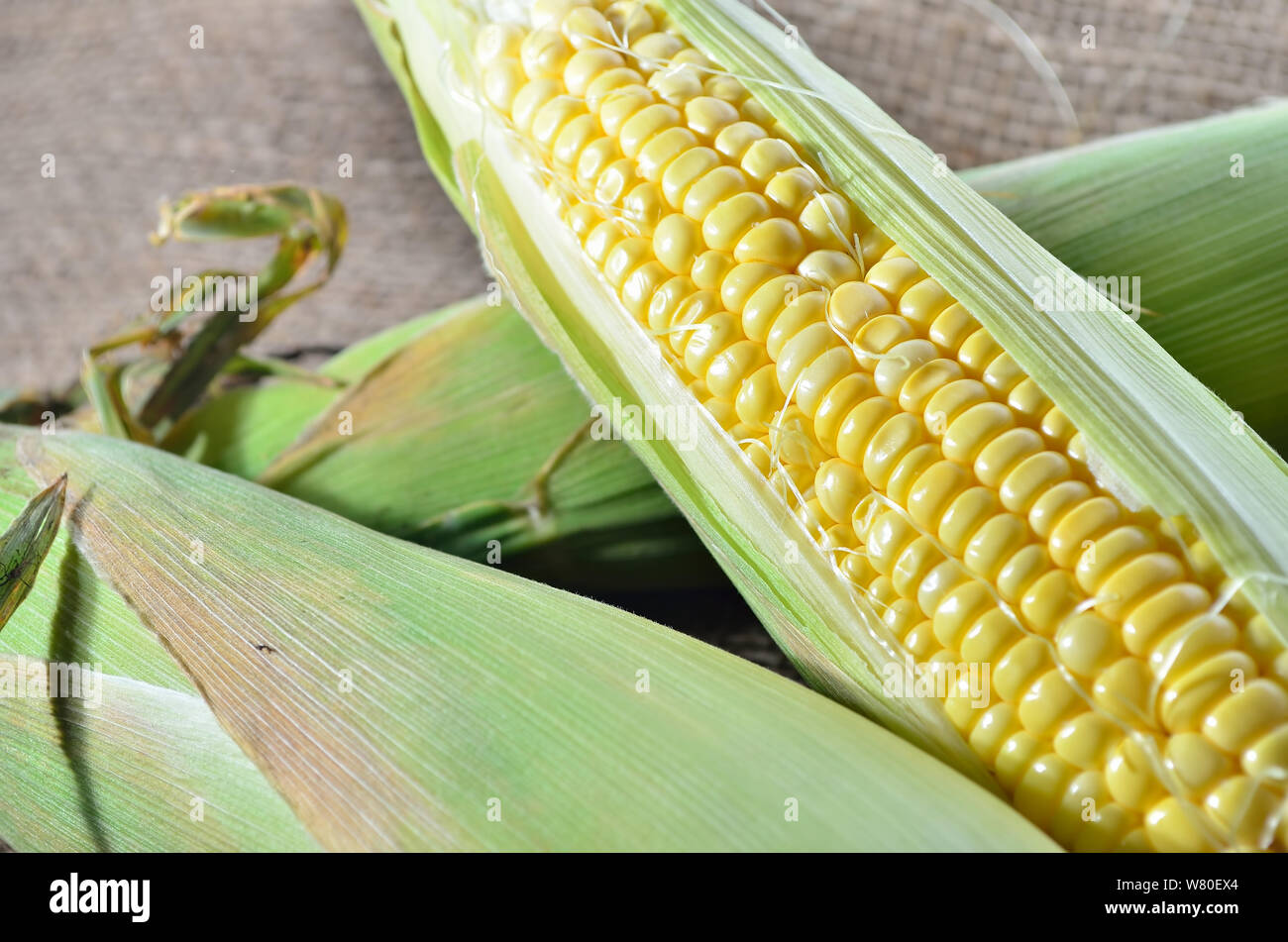 An ear of corn on gunny Stock Photo - Alamy