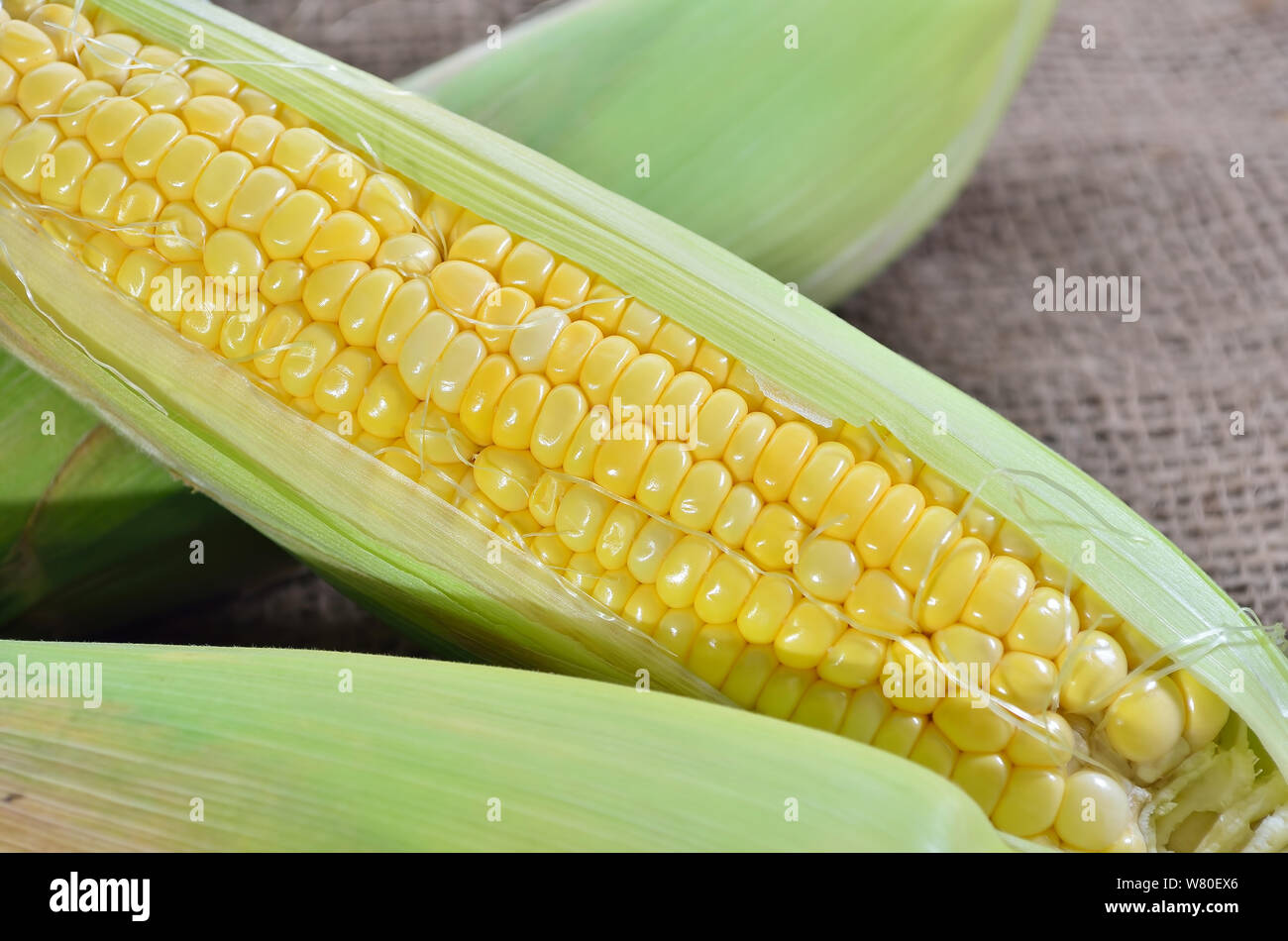 An ear of corn on gunny Stock Photo - Alamy