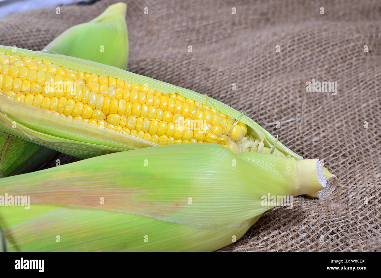 An ear of corn on gunny Stock Photo - Alamy