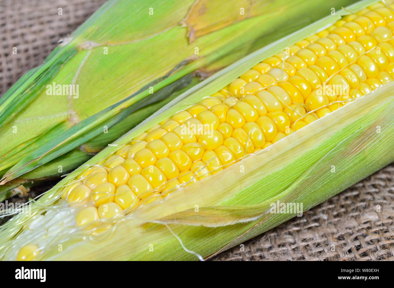 An ear of corn on gunny Stock Photo - Alamy