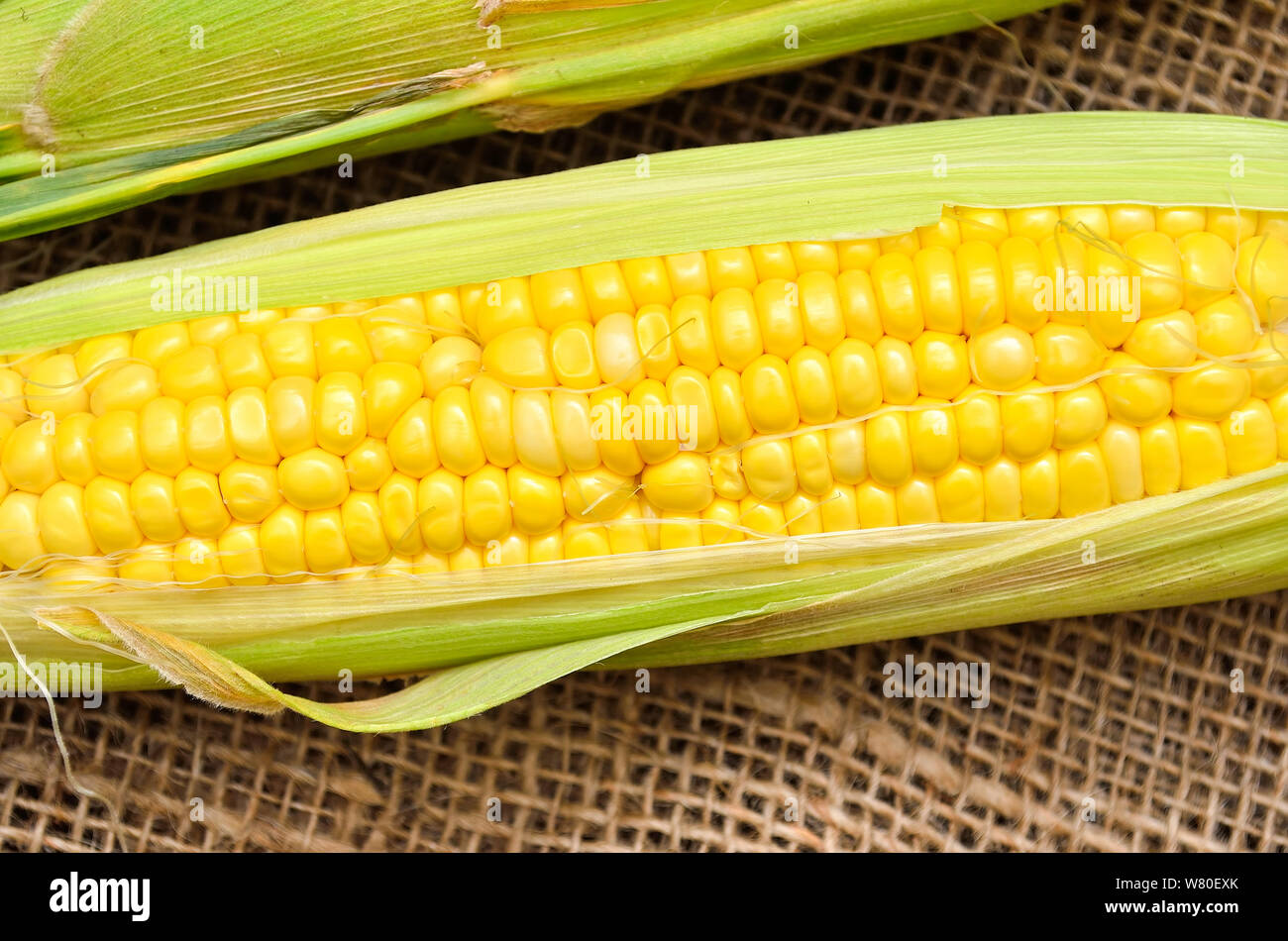 An ear of corn on gunny Stock Photo - Alamy