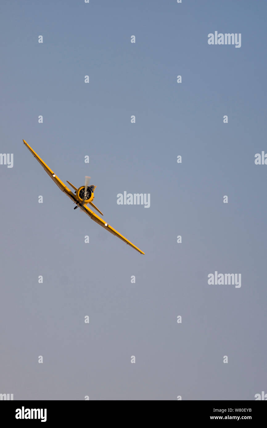 Israel. Vintage North American T-6 Texan/Harvard trainer aircraft ...