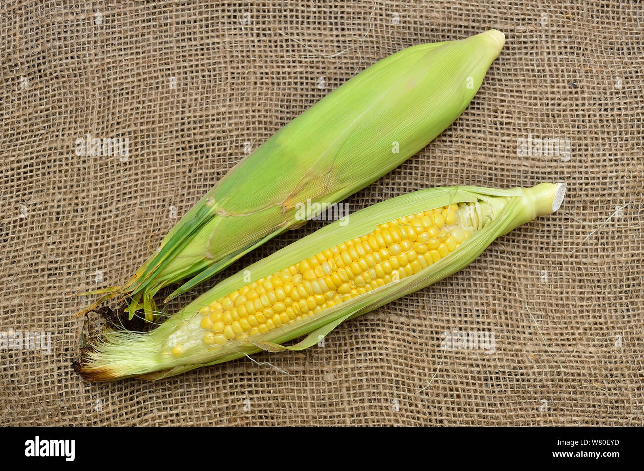 An ear of corn on gunny Stock Photo - Alamy
