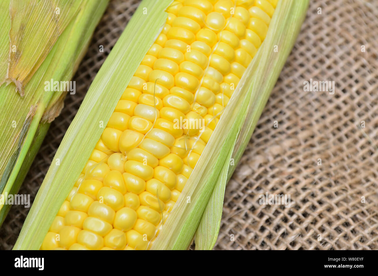 An ear of corn on gunny Stock Photo - Alamy