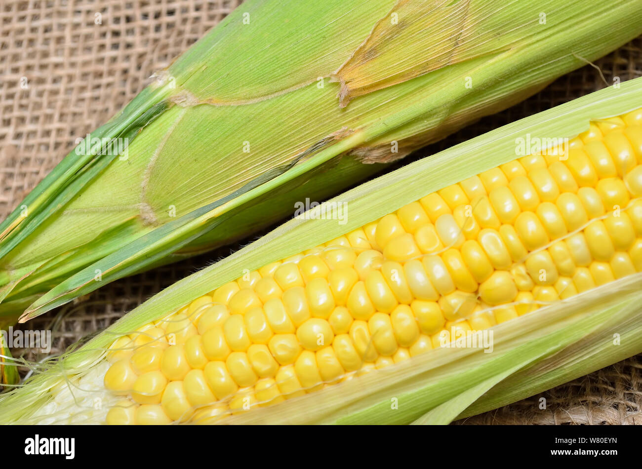 An ear of corn on gunny Stock Photo - Alamy