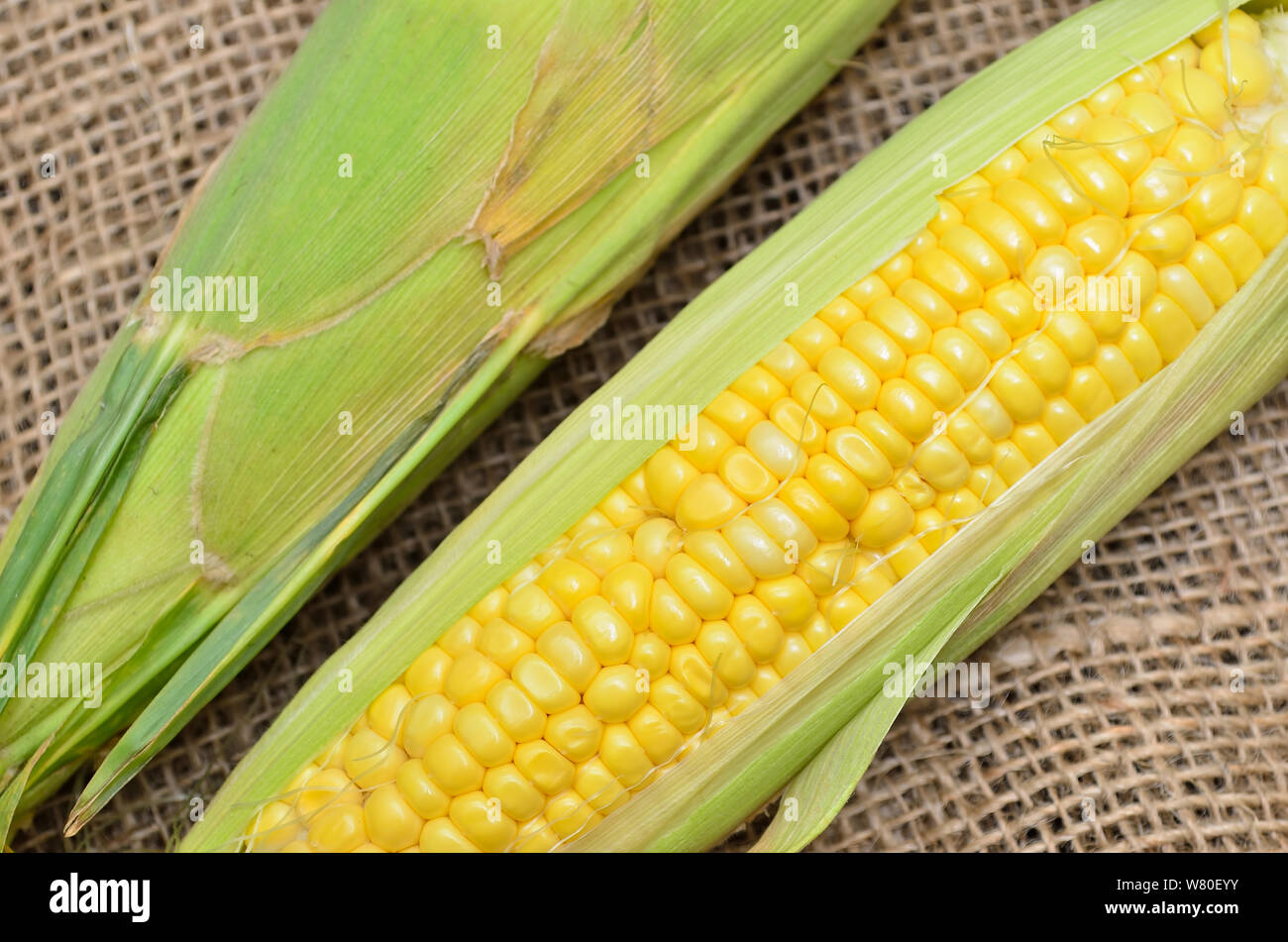 An ear of corn on gunny Stock Photo - Alamy