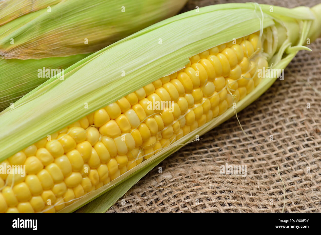 An ear of corn on gunny Stock Photo - Alamy
