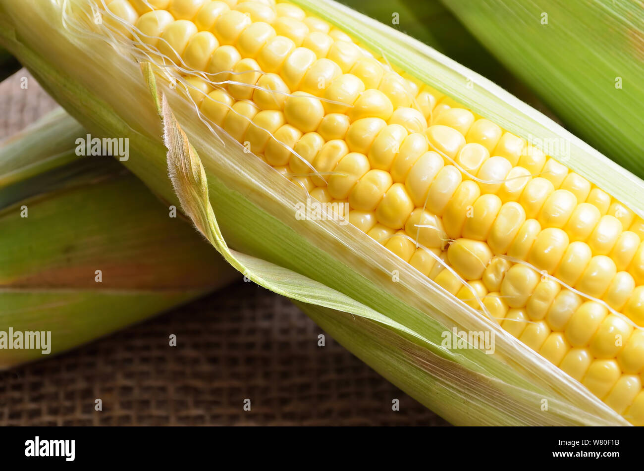 An ear of corn on gunny Stock Photo - Alamy