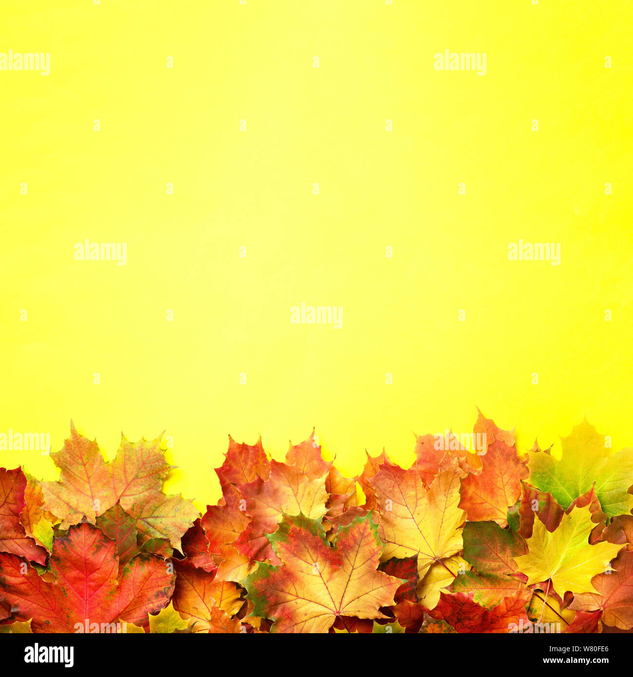 Colorful autumn leaves on yellow paper with copy space. Cozy fall mood ...