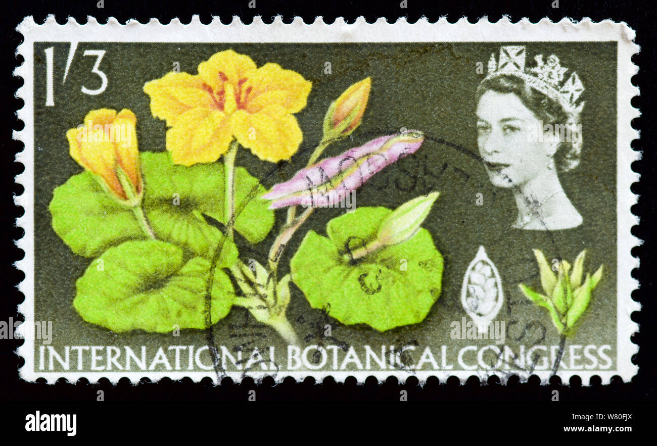 Great Britain Postage Stamp - International Botanical Congress Stock ...