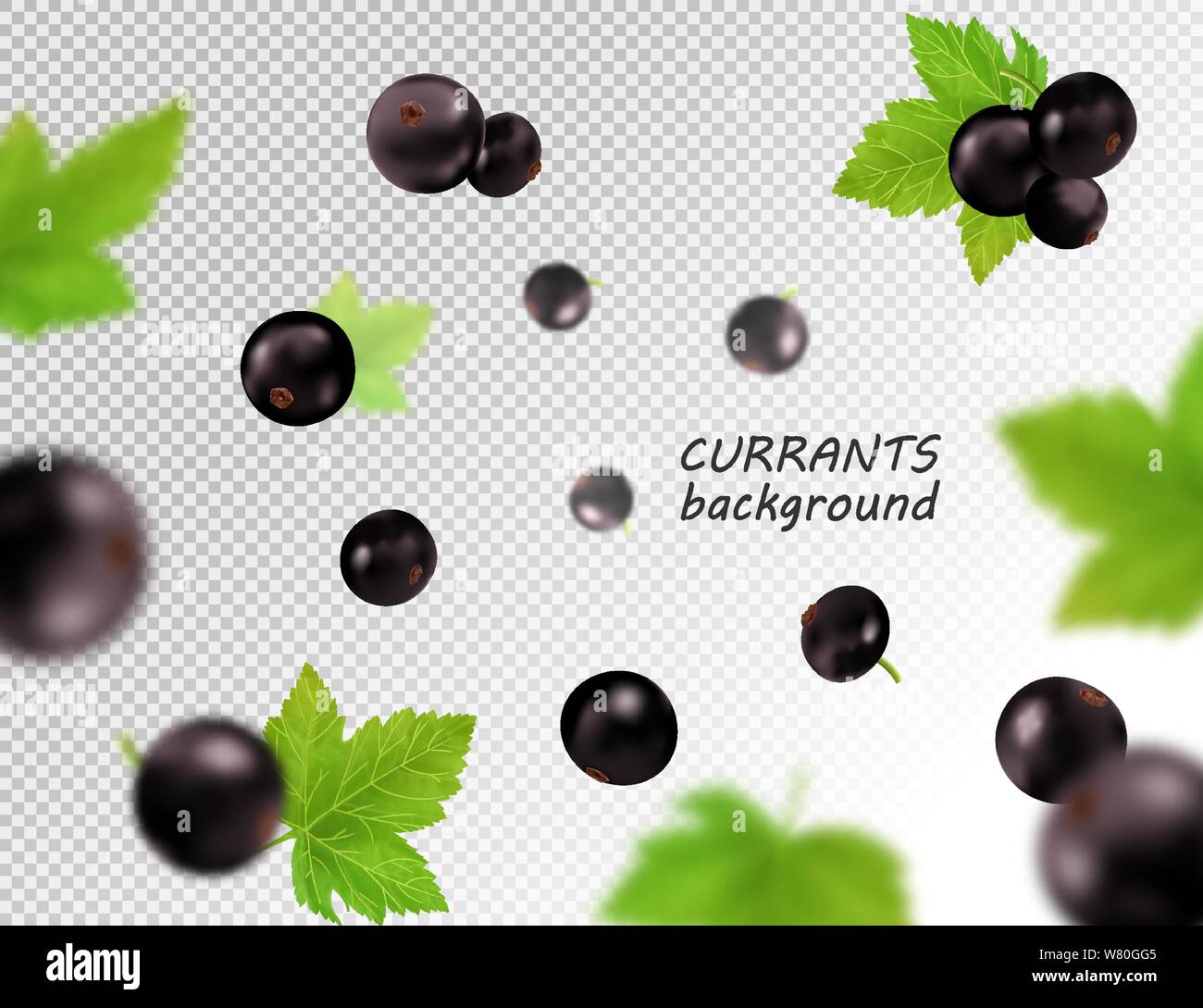 Falling (flying) black currant isolated on transparent background ...
