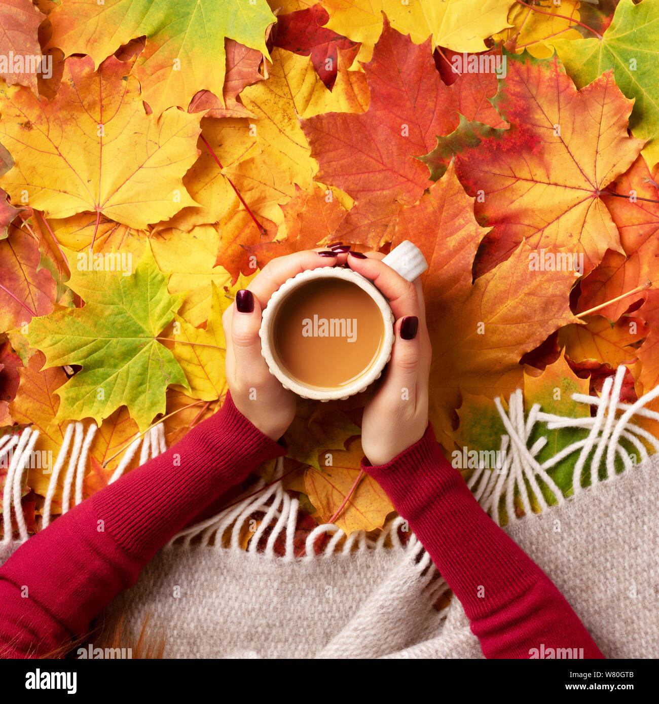 Autumn flat lay. Female hands with cup of coffee over colorful maple ...