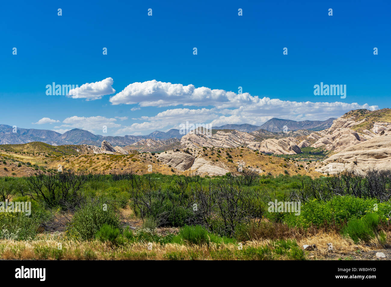 Mormon Rock area in the San Bernardino National Forest in California ...