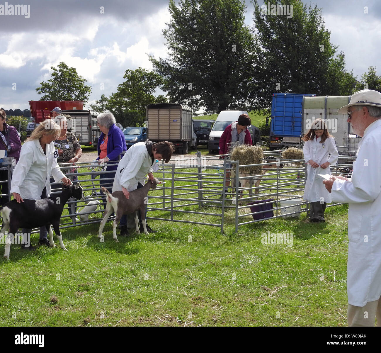 Poultry show cages hi-res stock photography and images - Alamy