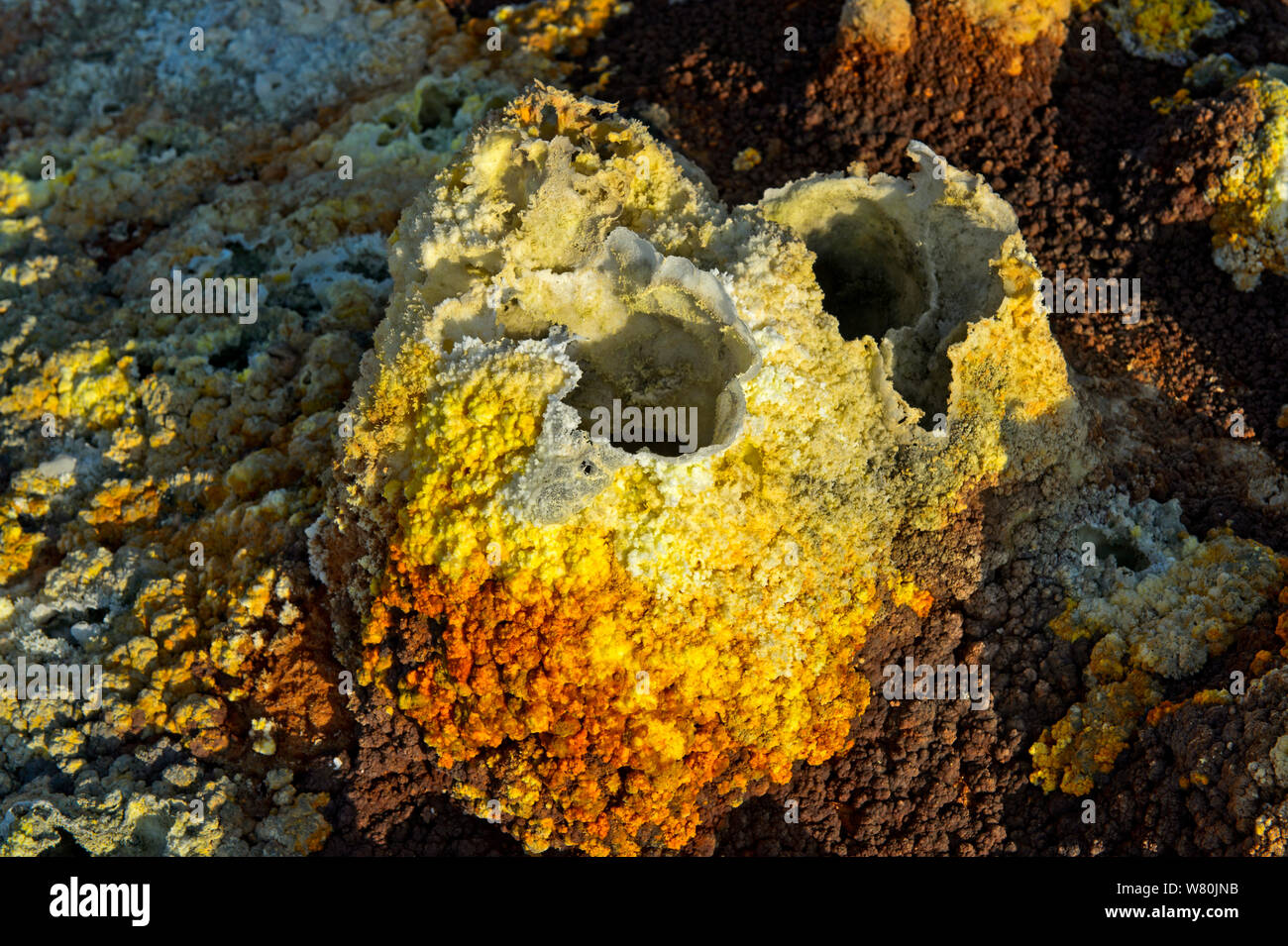 Relict features hi-res stock photography and images - Alamy