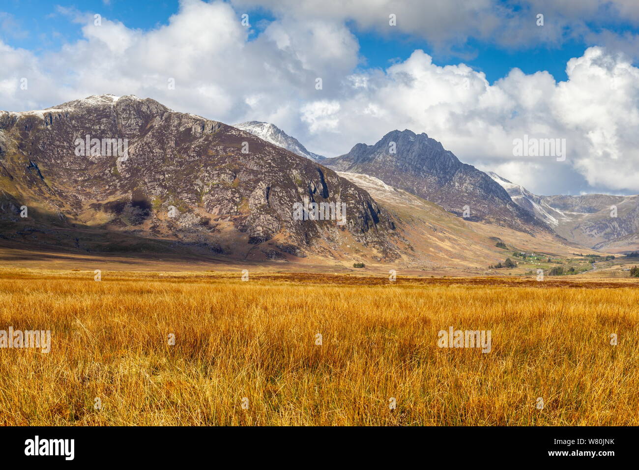 Tryfan stands liks a Sentinel over the Ogwen Valley with Gallt Yr Ogof ...