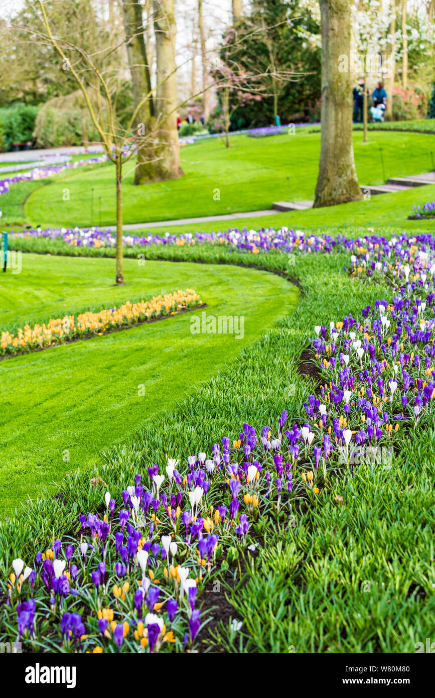 Beautiful garden in spring Stock Photo - Alamy