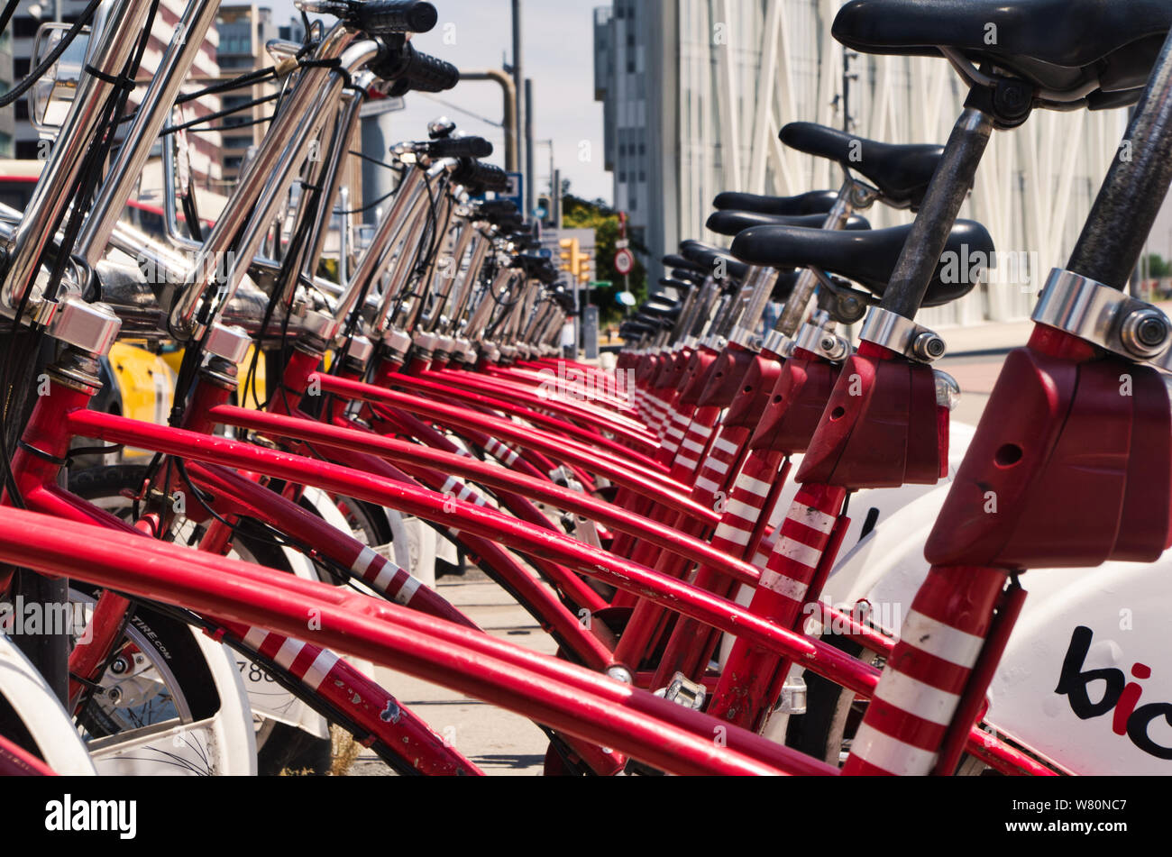 Multiple bikes of the "Bicing" public transport services (Metropolitan ...
