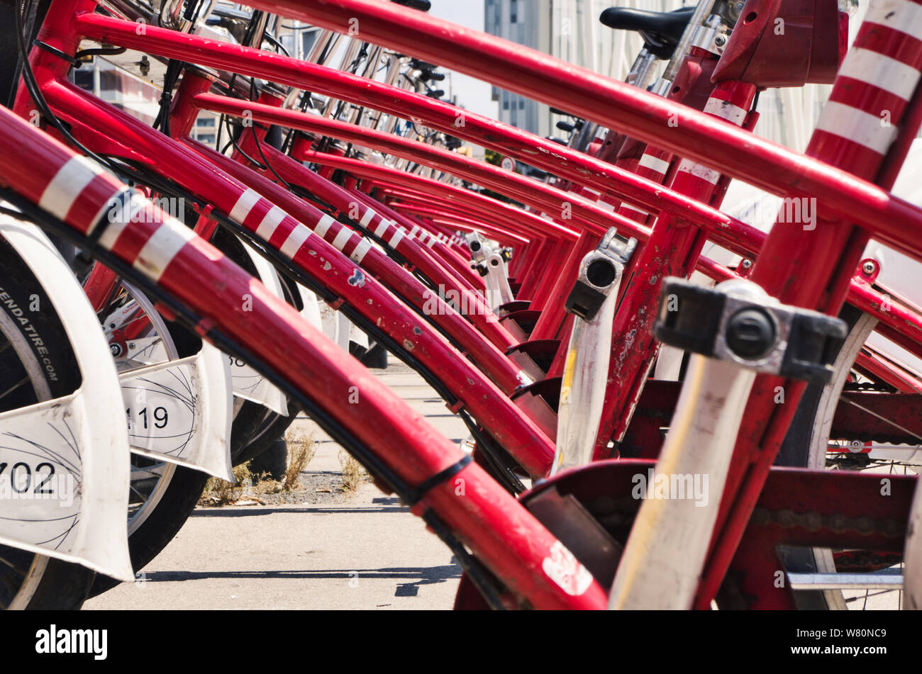 Multiple bikes hi-res stock photography and images - Alamy