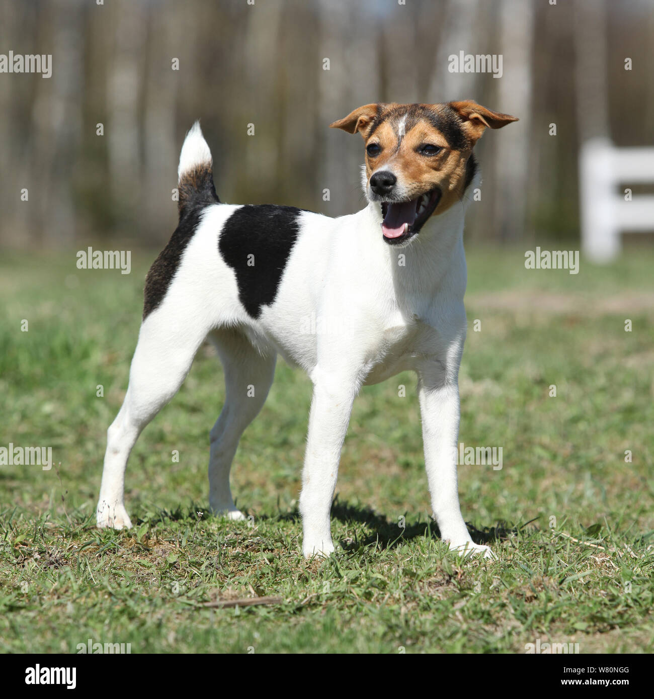 Nice parson hi-res stock photography and images - Alamy