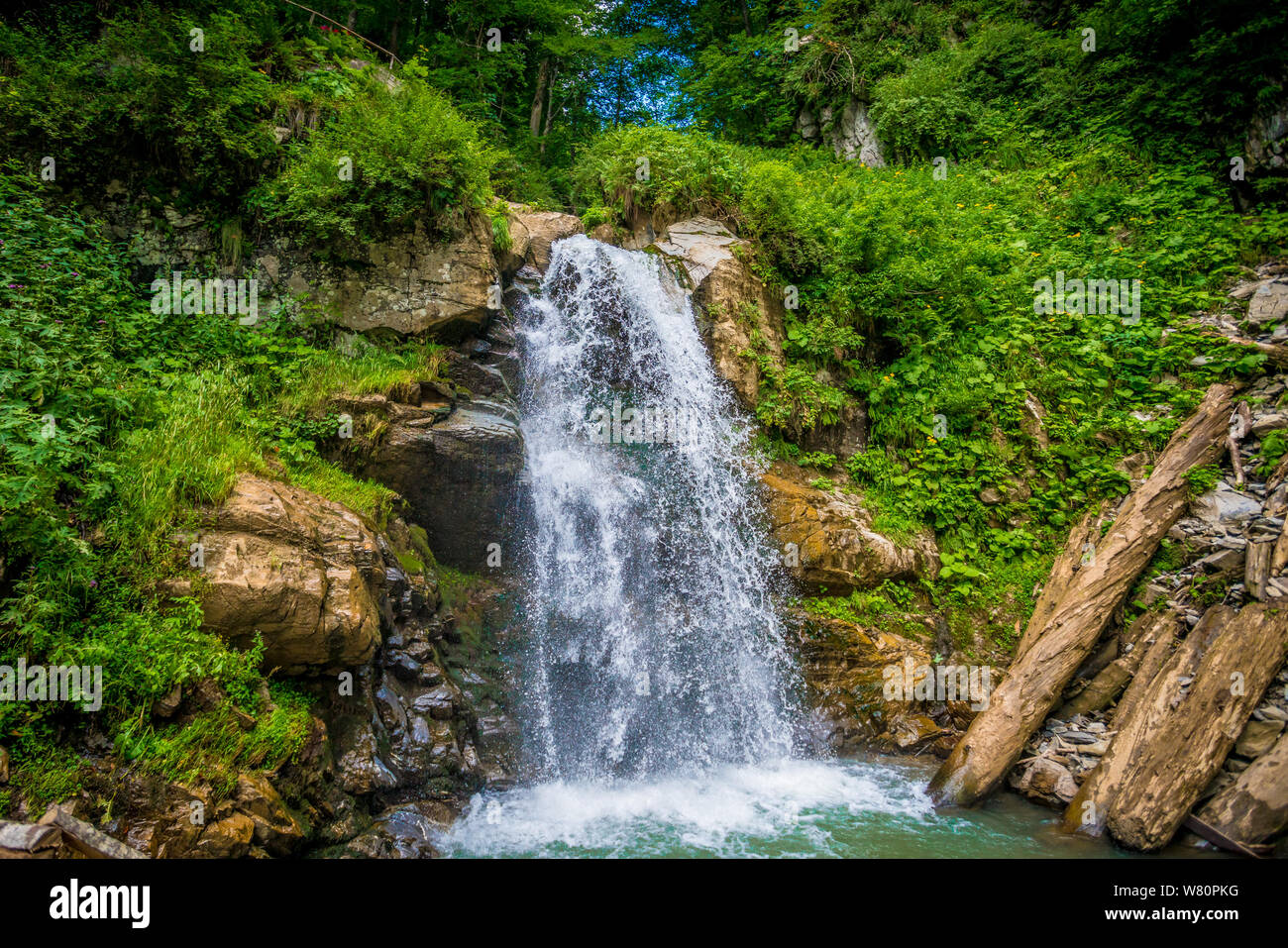 Park of waterfalls Mendeliha. Forest river and waterfall. Sochi. Rosa ...