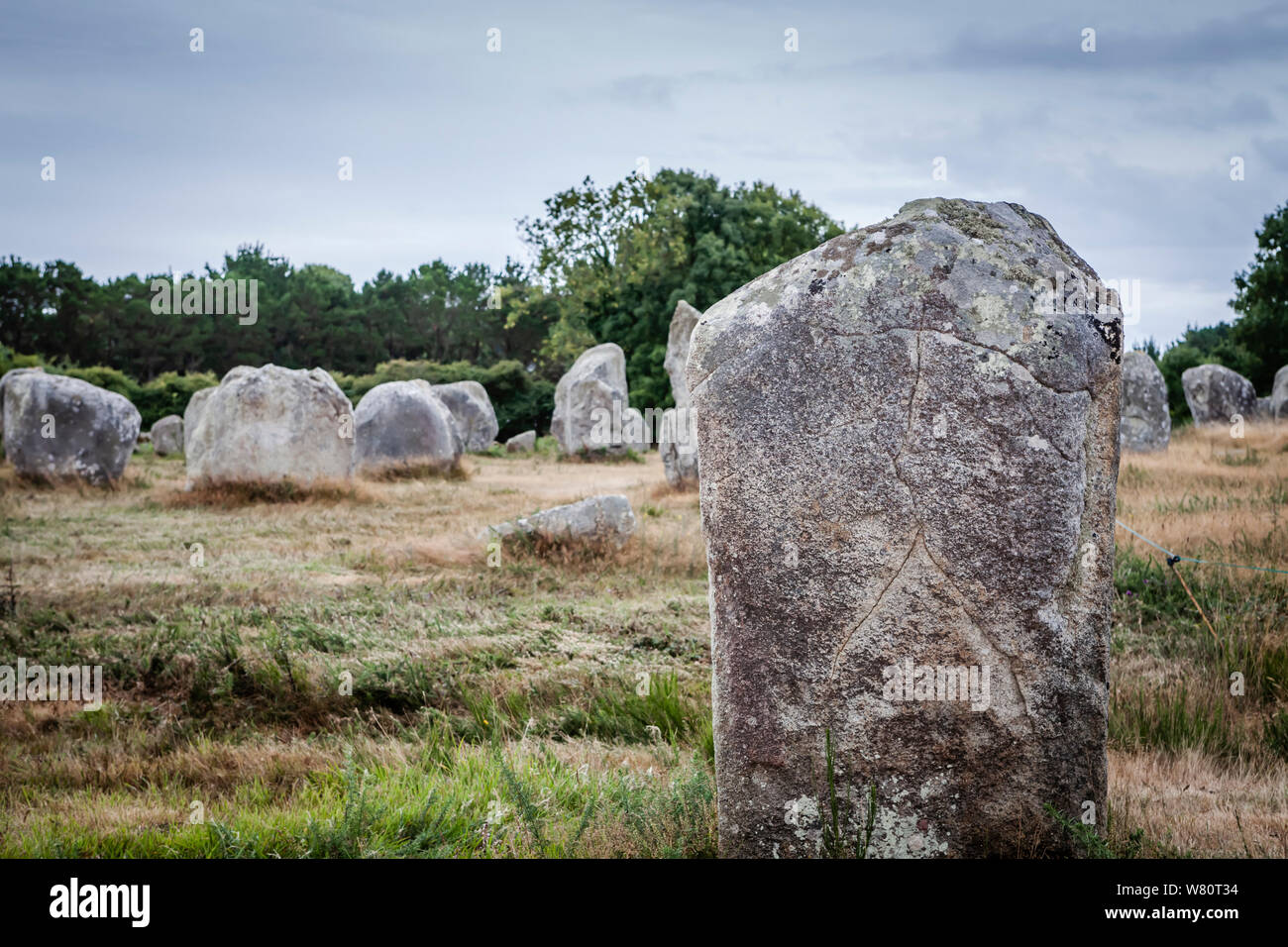 mysterious neolithic standing stones, stone circles at Carnac in ...