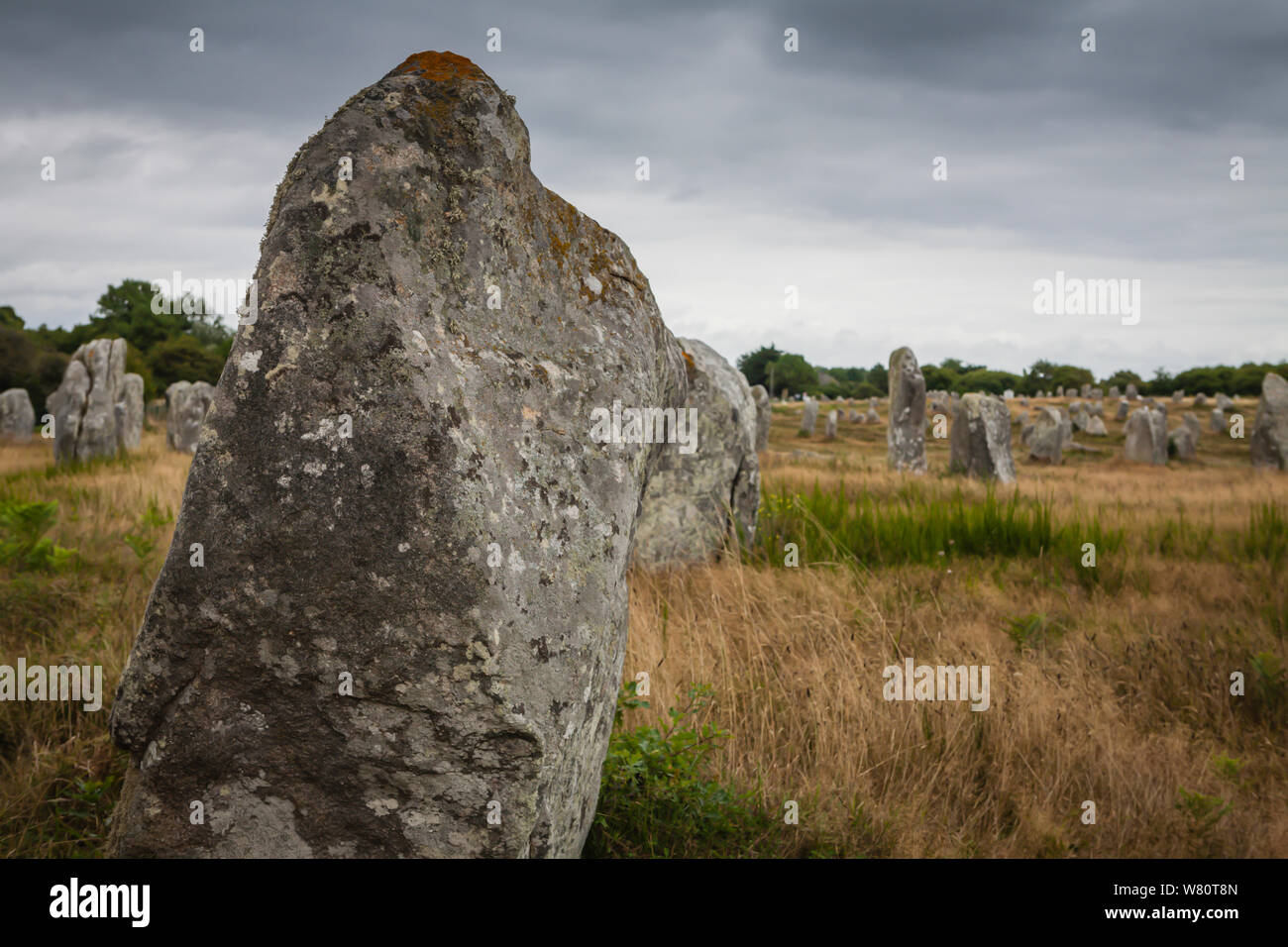 mysterious neolithic standing stones, stone circles at Carnac in ...