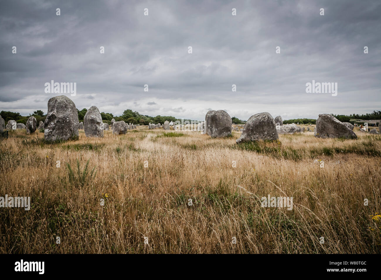 mysterious neolithic standing stones, stone circles at Carnac in ...