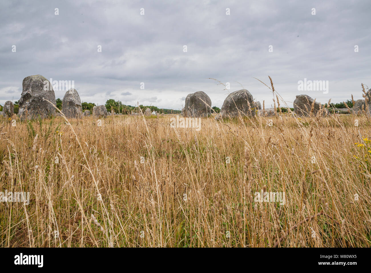 mysterious neolithic standing stones, stone circles at Carnac in ...