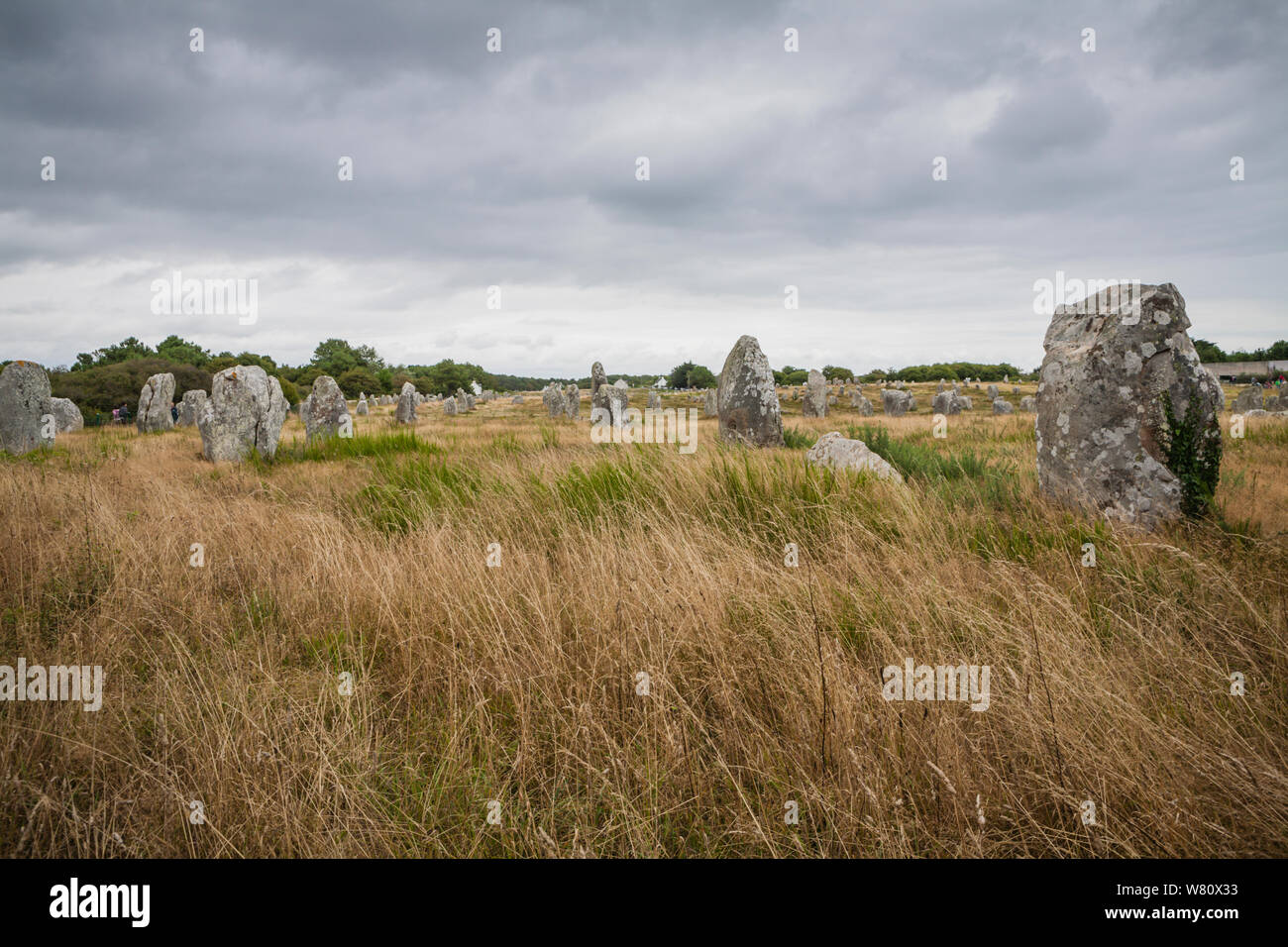 mysterious neolithic standing stones, stone circles at Carnac in ...