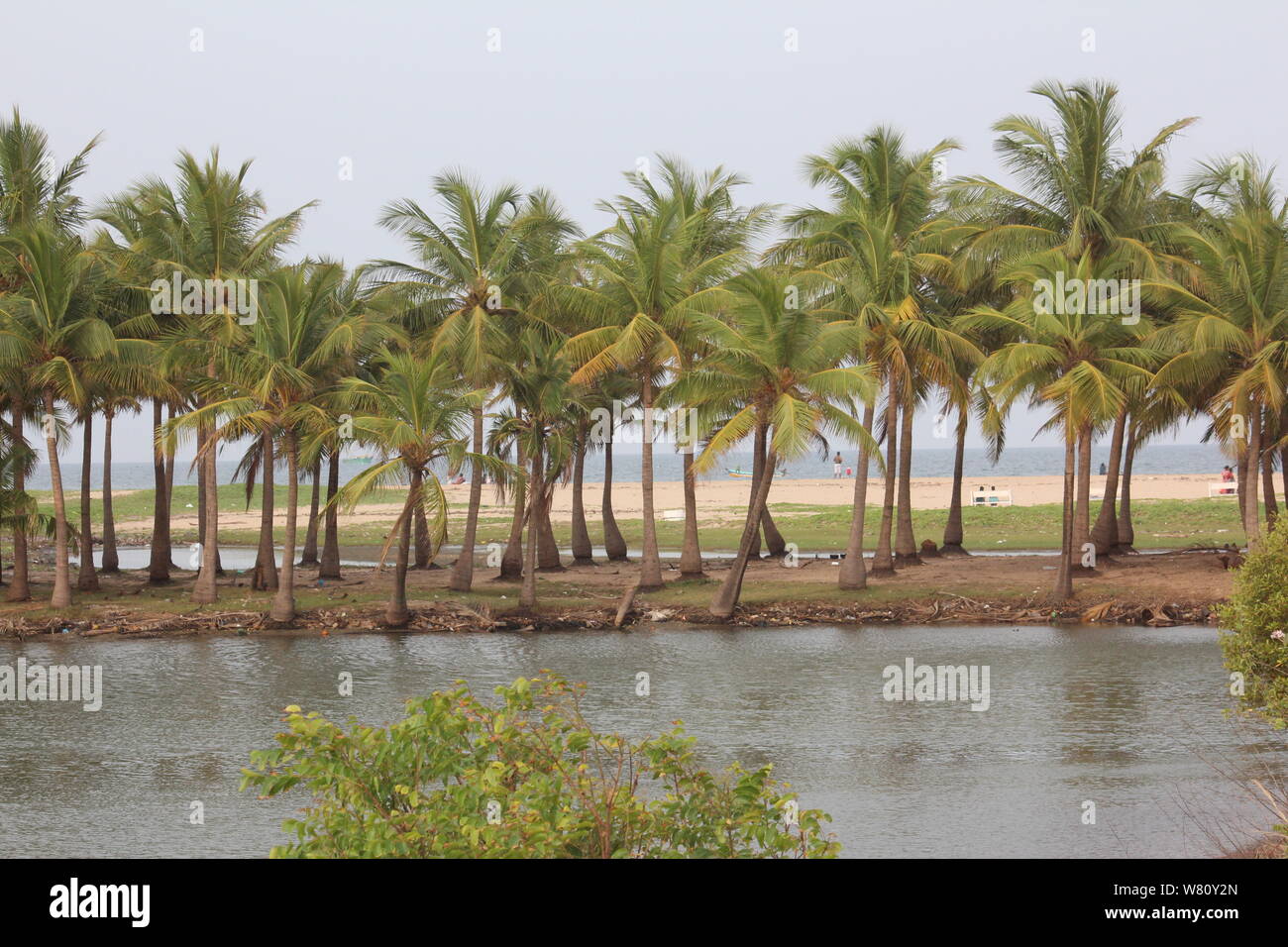 Beach in Pondicherry Stock Photo - Alamy