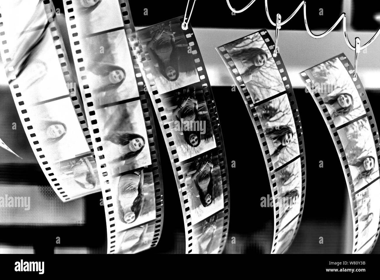 Wiped down with a solution of rubbing alcohol, strips of film negatives ...