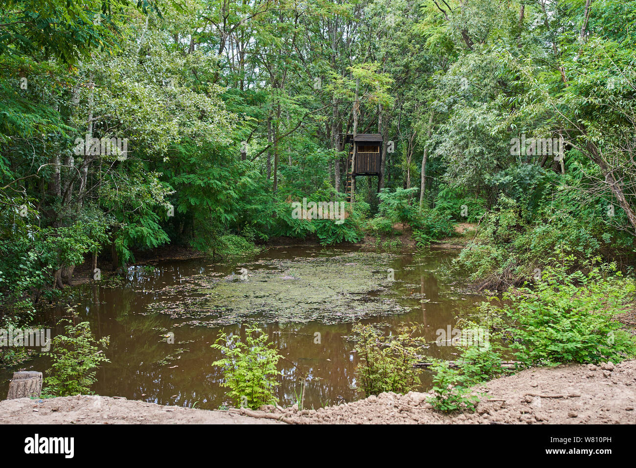 Oak observatory hi-res stock photography and images - Alamy