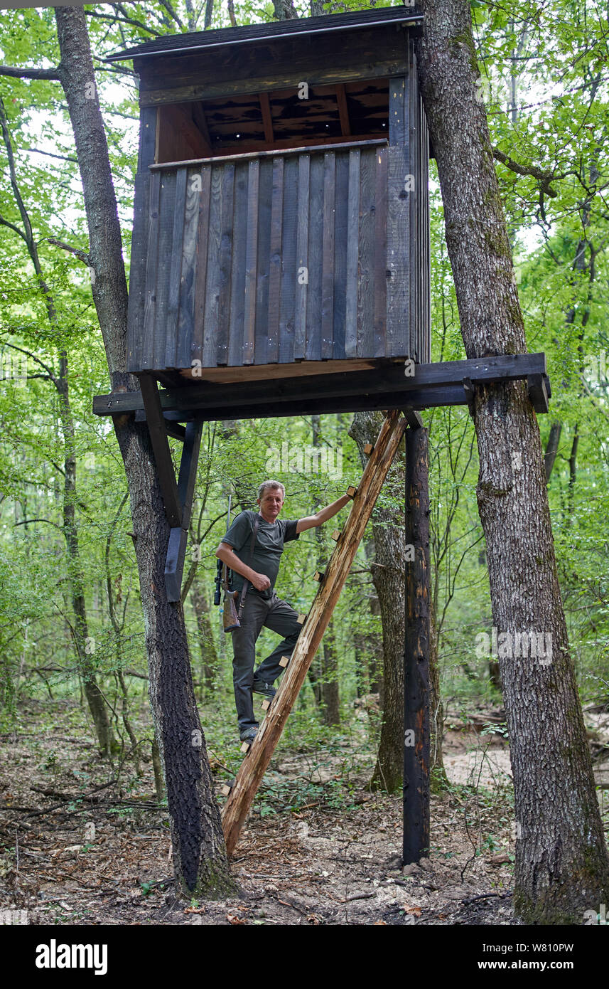 Game ranger with gun at the feeding spot for wild animals Stock Photo ...