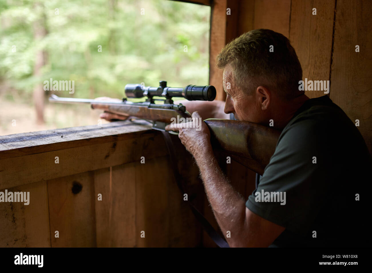 Game ranger with gun at the feeding spot for wild animals Stock Photo ...