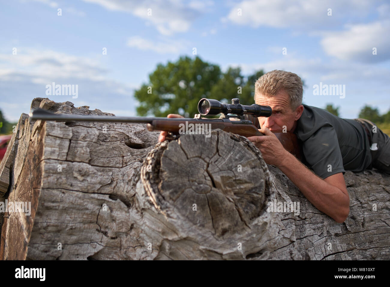 Hunter with rifle in the forest Stock Photo - Alamy