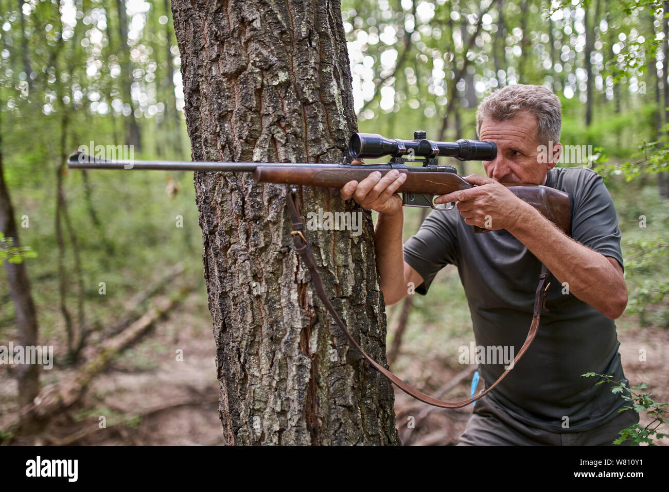 Hunter with rifle in the forest Stock Photo - Alamy