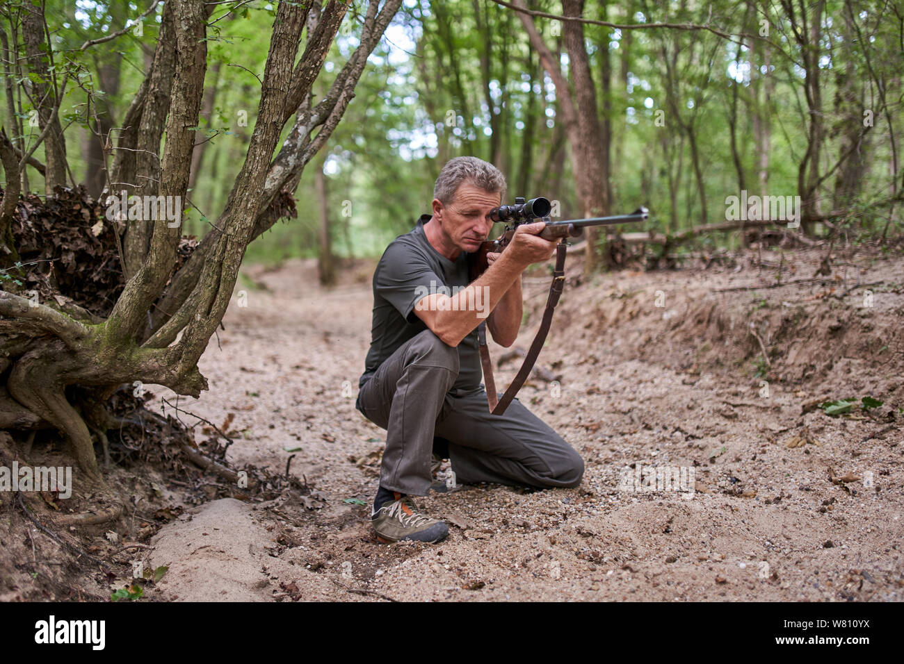 Hunter with rifle in the forest Stock Photo - Alamy
