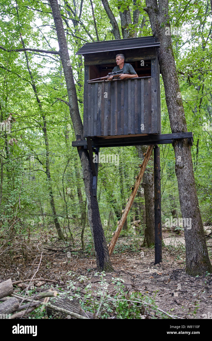 Game ranger with gun at the feeding spot for wild animals Stock Photo ...
