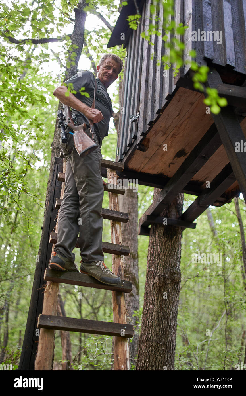 Game ranger with gun at the feeding spot for wild animals Stock Photo ...