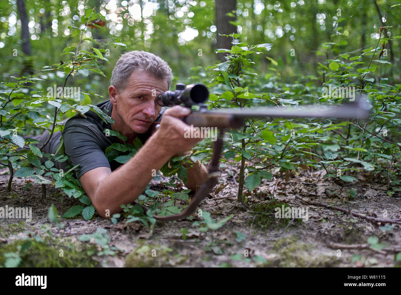 Hunter with rifle in the forest Stock Photo - Alamy