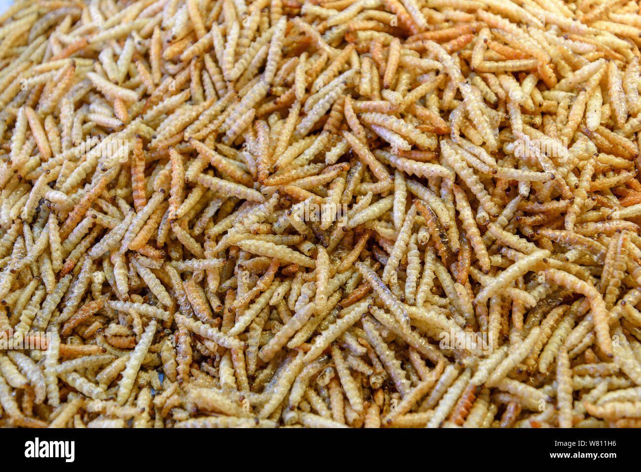 Asian eating worms hi-res stock photography and images - Alamy