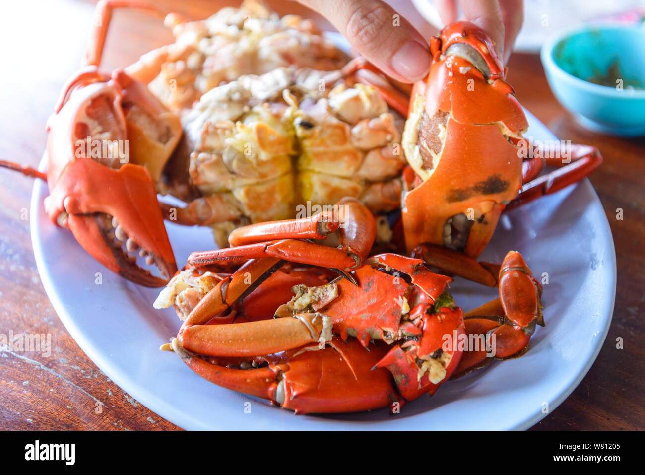Fresh steamed or boiled crabs in plate on wooden table Stock Photo - Alamy