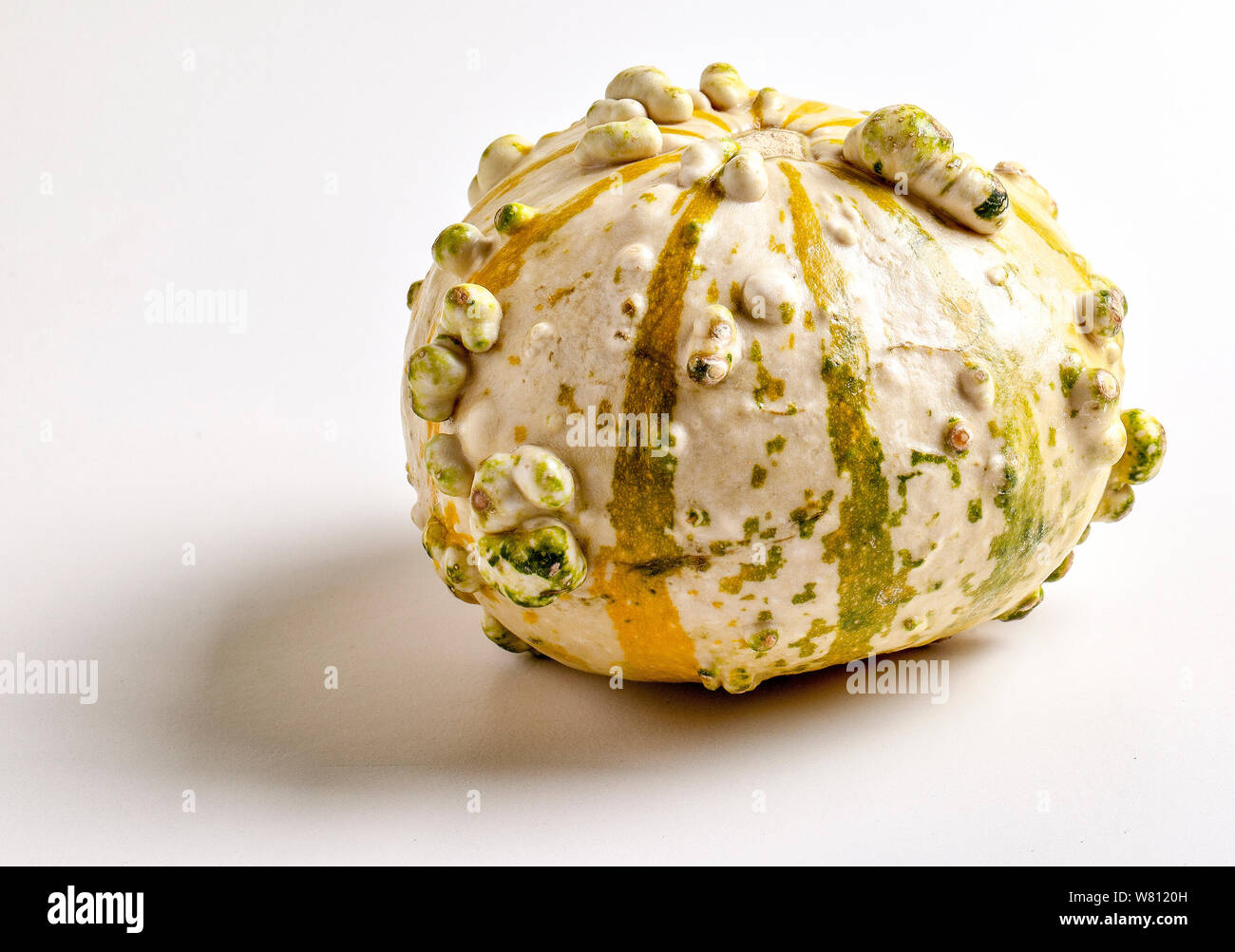 One Decorative Gourd on a White Background Stock Photo - Alamy