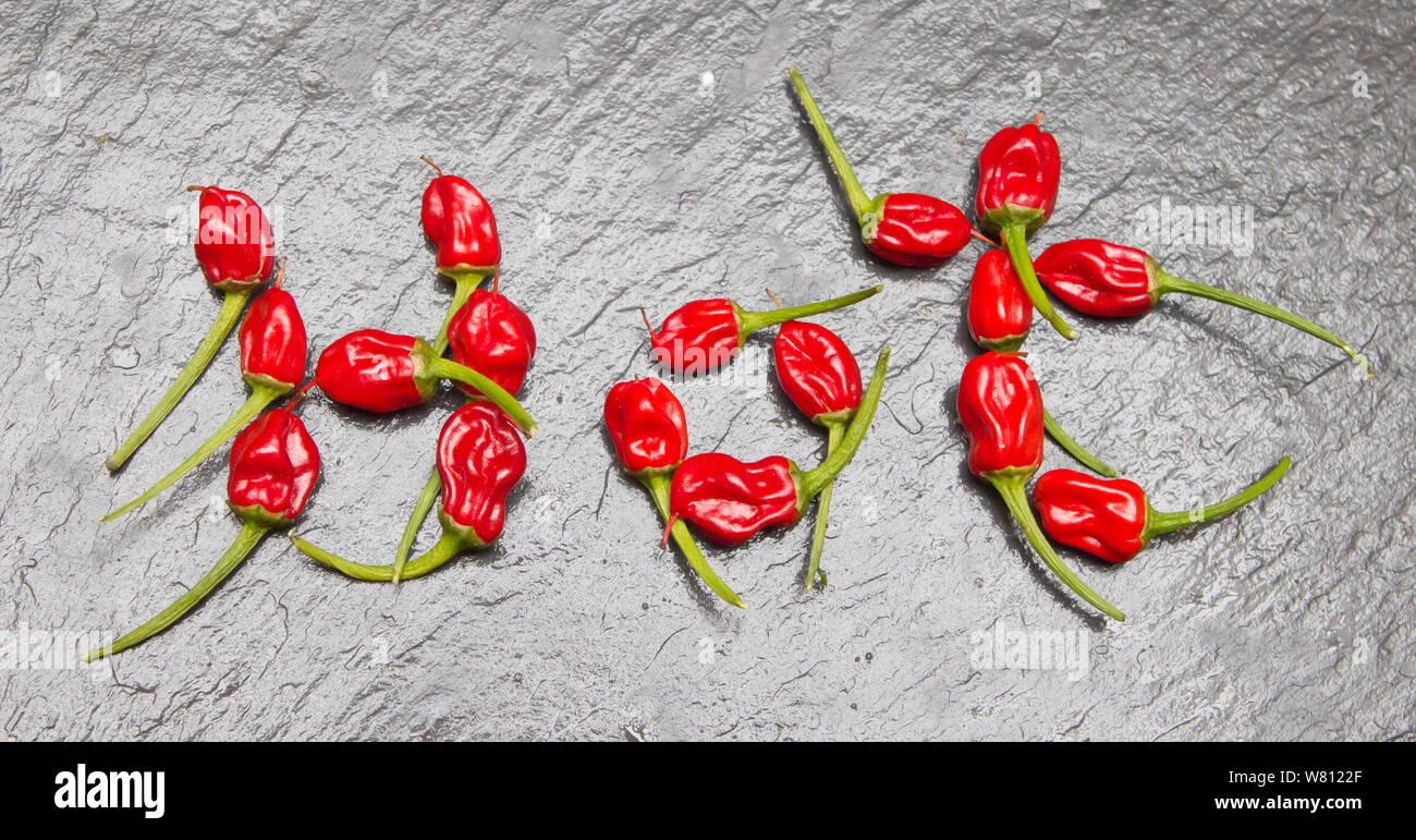 small red very hot chilli peppers arranged on a grey surface. cooking ...
