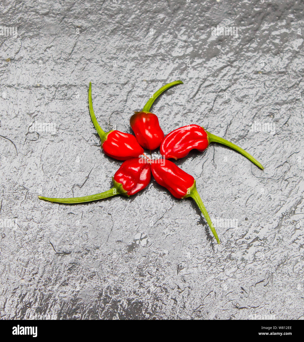 small red very hot chilli peppers arranged on a grey surface. cooking ...